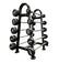 Fixed Curl Bar Set | Preloaded EZ Bars for Arm Training – Extreme ...