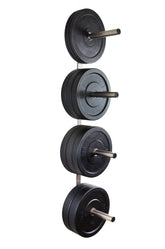 Weight Plate Storage Racks - Organized Plate Racks for Gym – Extreme ...